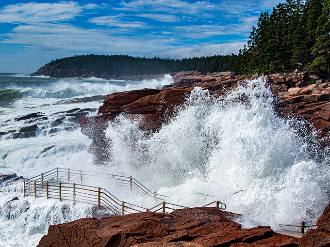During storms, these viewing platforms get thoroughly drenched &ndash; consider it nature's way of offering a complimentary splash zone.
