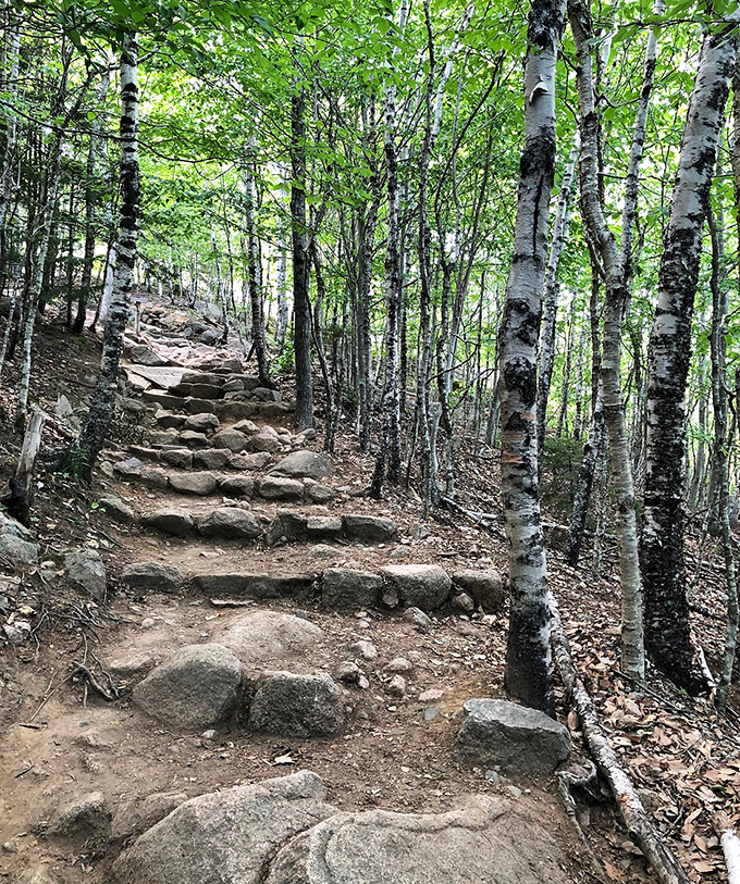 These stone steps have felt the footfalls of countless adventurers, each one drawn upward by the promise of geological wonder.
