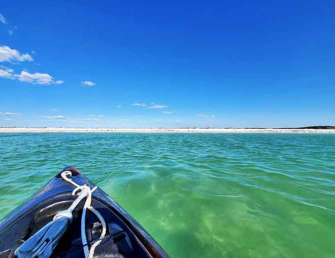 Captain's perspective: From the water looking back, Caladesi's pristine shoreline reveals itself as one of Florida's last truly natural Gulf beaches.