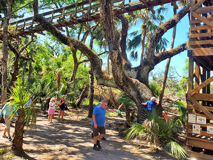 Visitors gather beneath ancient oaks, their upturned faces showing that rare expression in our digital age &ndash; genuine, unfiltered wonder.