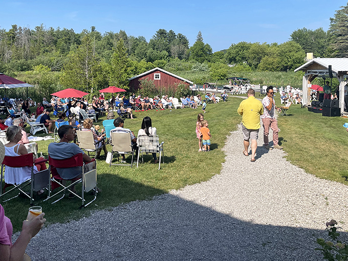 The ultimate Michigan summer scene: Families and friends gather on the lawn, creating a patchwork of blankets, chairs, and shared moments.