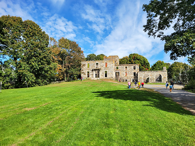 Woodland secrets: The surrounding forest holds its own history, with rock formations and native plants creating natural companions to the ruins.