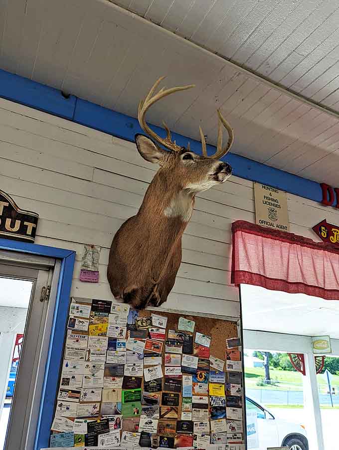 Even the wildlife seems impressed by the food &ndash; this mounted deer has witnessed decades of satisfied customers and still maintains his dignified air.