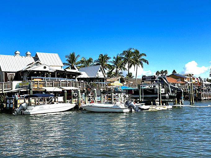 Boats bob gently in their slips, patiently waiting for tomorrow's fishing expeditions and dolphin-spotting adventures.