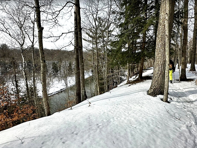 Winter transforms the Manistee River Trail into a hushed wonderland where your footprints might be the only evidence humans exist.
