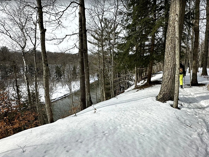 Winter transforms the Manistee River Trail into a snow-covered wonderland that rewards the brave with solitude and silence.