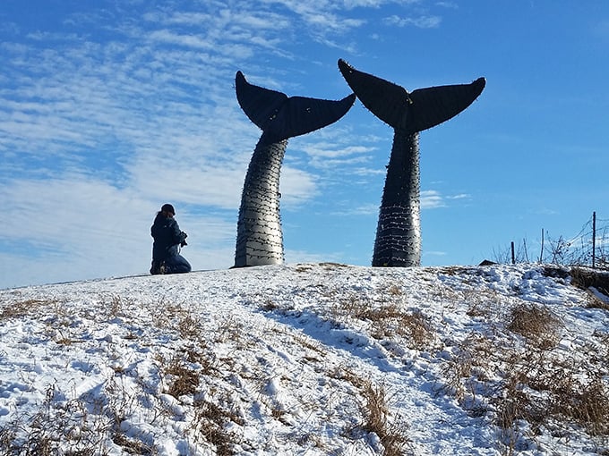 Winter adventurers discover the whale tails take on a different personality when surrounded by Vermont's snowy landscape.