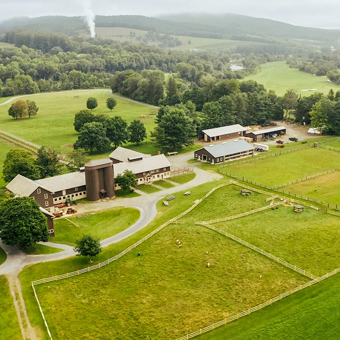 Billings Farm combines working agriculture with living history &ndash; where Jersey cows are the celebrities and farming traditions continue.