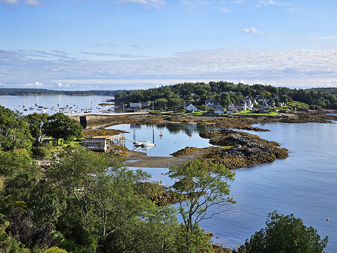 Panoramic view of the bridge stretching across the water, a testament to ingenious engineering that has stood for nearly a century.