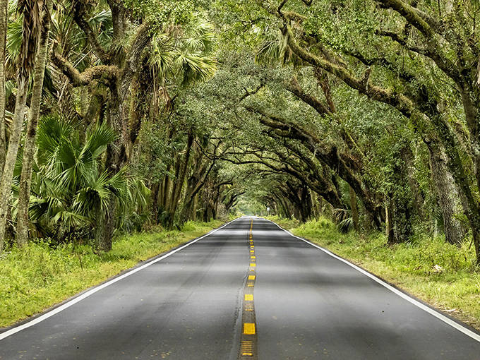 This avenue of oaks represents Old Florida at its most magical &ndash; a living reminder of the natural beauty that first drew settlers to the Sunshine State.