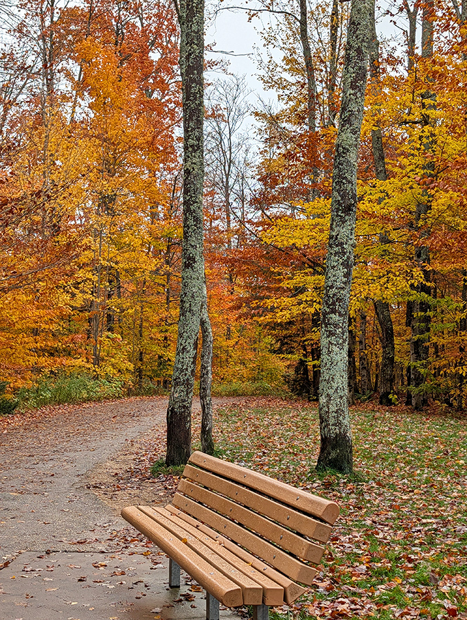 This simple bench offers a moment of contemplation surrounded by autumn's fiery display &ndash; sometimes the best views require sitting still.