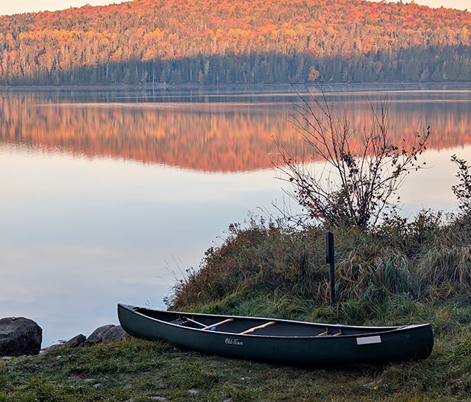 Autumn's fiery palette reflected in still waters – the perfect canvas for a canoe adventure to remember.