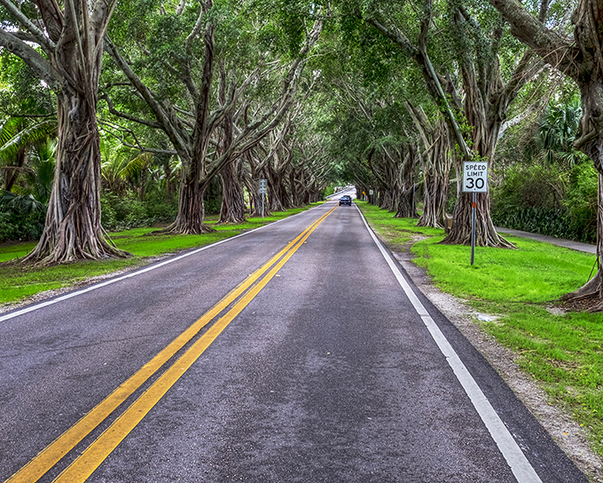 Bridge Road's 30 mph speed limit isn't just for safety &ndash; it's to give you time to appreciate nature's spectacular show.