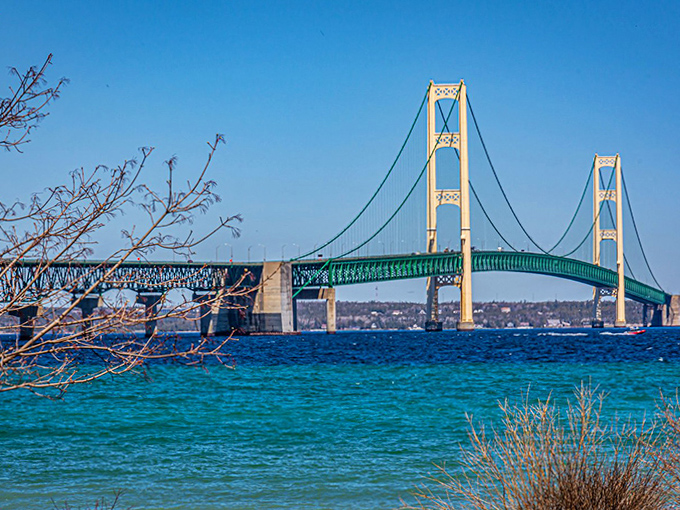 From the shoreline, wildflowers frame this engineering marvel, nature's delicate beauty providing perfect contrast to the bridge's monumental strength.