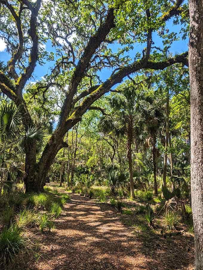 Walking these trails is like having a conversation with history, except history doesn't interrupt you or check its phone.