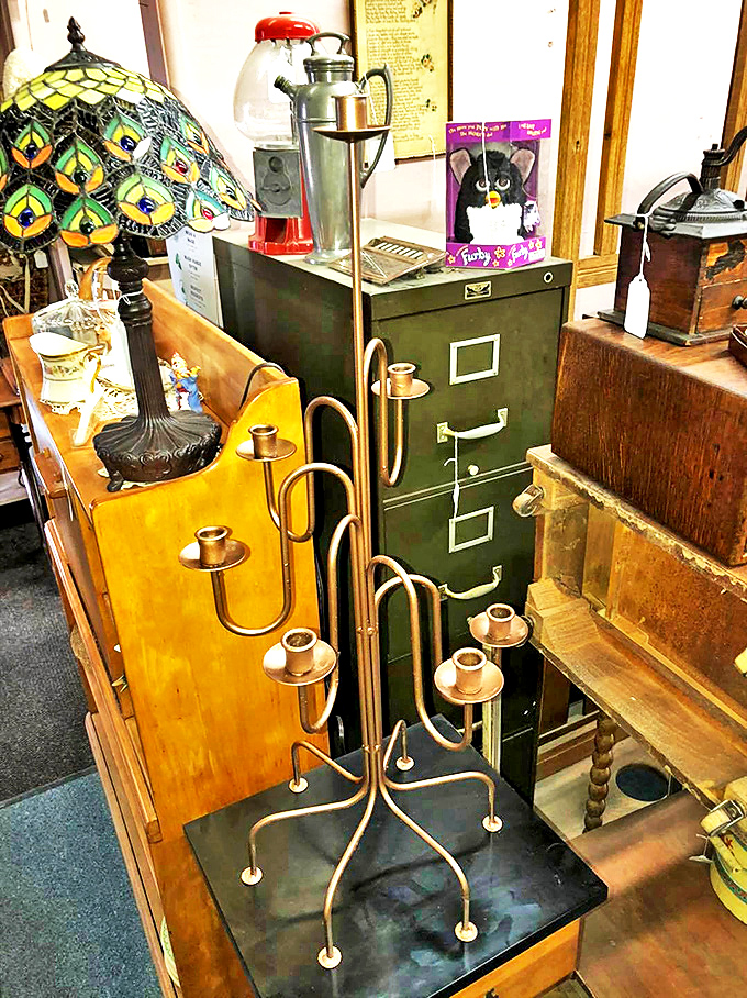 A brass candelabra that's seen more dinner parties than you've had hot meals. Instant ambiance for those who can't cook but can set a table.