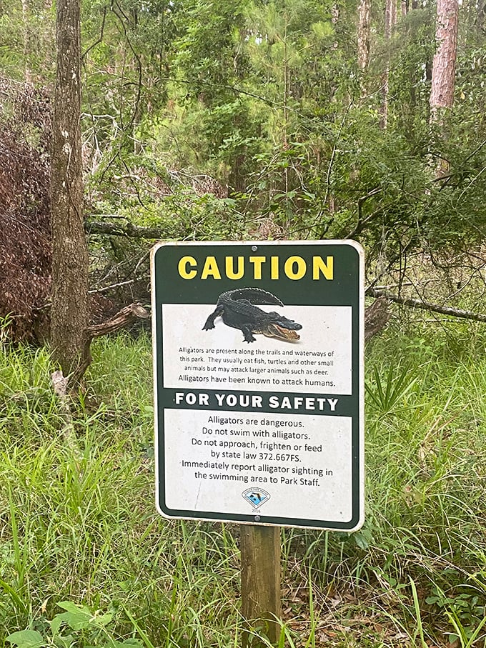 Caution signs serve as reminders that we share this paradise with prehistoric residents who prefer to be admired from a distance.