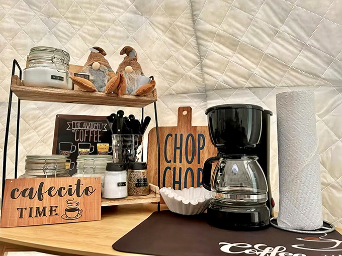 Morning brew headquarters where "roughing it" means waiting thirty seconds for your coffee to steep instead of instant delivery.