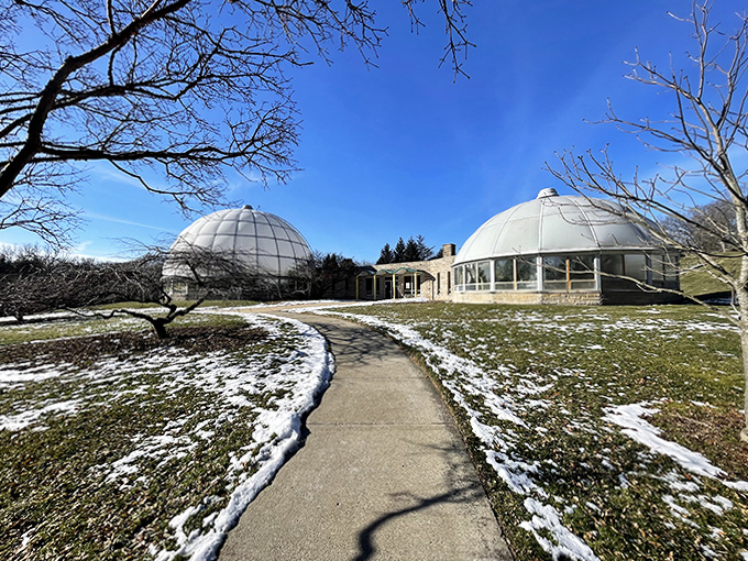 When Michigan turns into a snow globe, this glass sanctuary becomes even more magical, offering a warm embrace of greenery amid winter's chill.