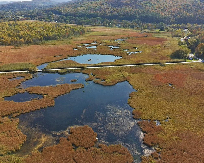 The marsh reveals its patchwork personality from above, water and grass playing an eternal game of tag.
