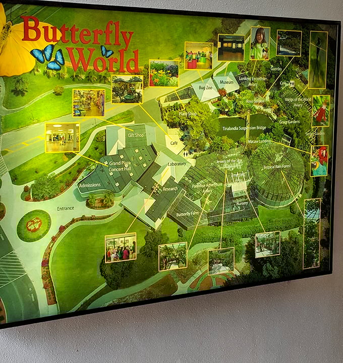 The park map reveals Butterfly World's surprising scope &ndash; where else can you visit aviaries, bug zoos, and botanical gardens in one afternoon?