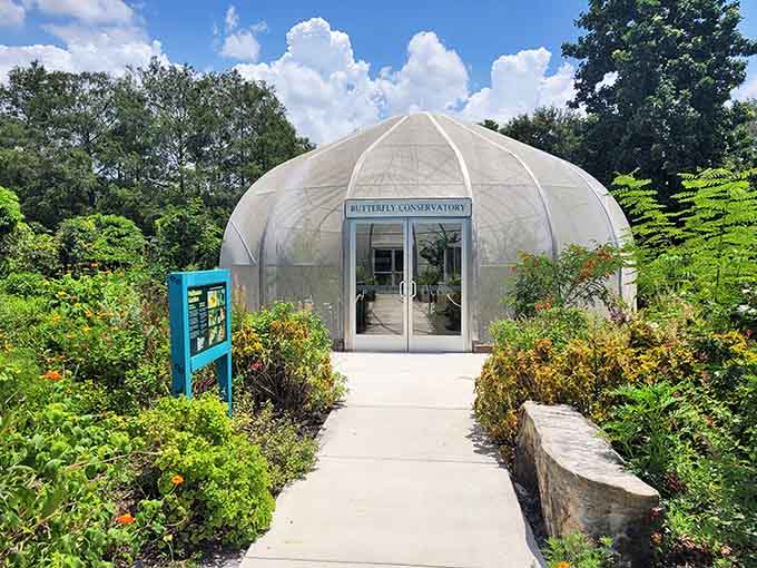 Step inside this dome and enter butterfly paradise, where delicate wings flutter past like living works of art.
