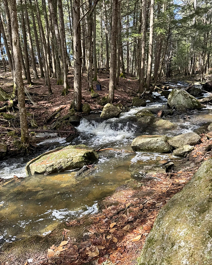 The hypnotic rhythm of water over stone creates nature's most effective stress reliever &ndash; better than any meditation app ever created.