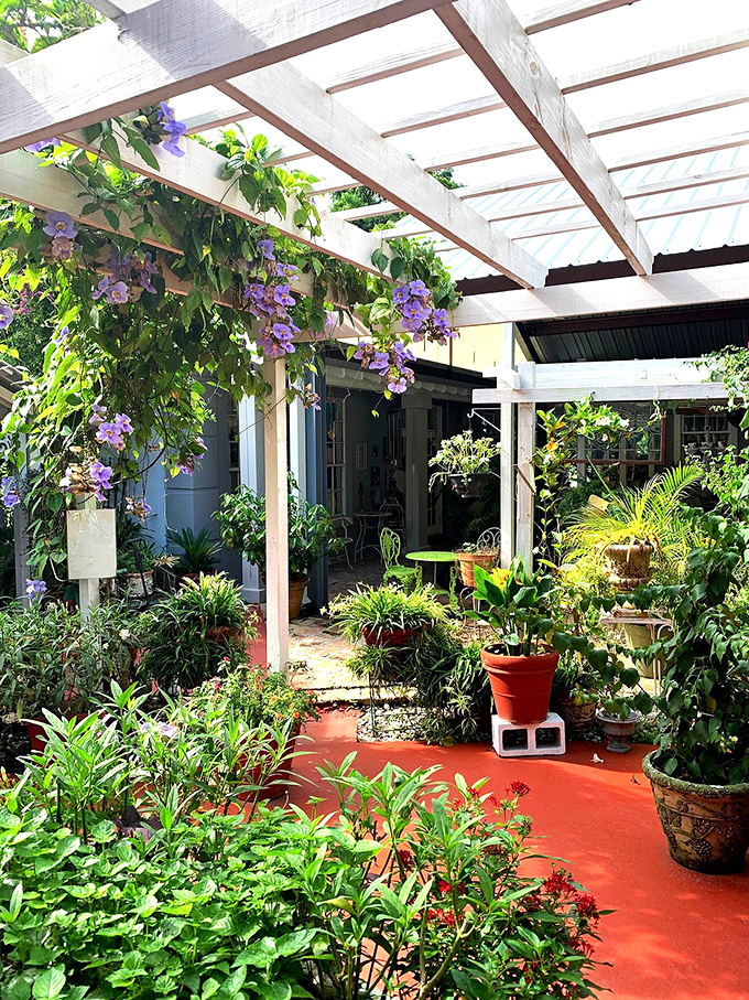 Nature's own pergola ceiling, where purple wisteria dangles like botanical chandeliers above the garden dining area.