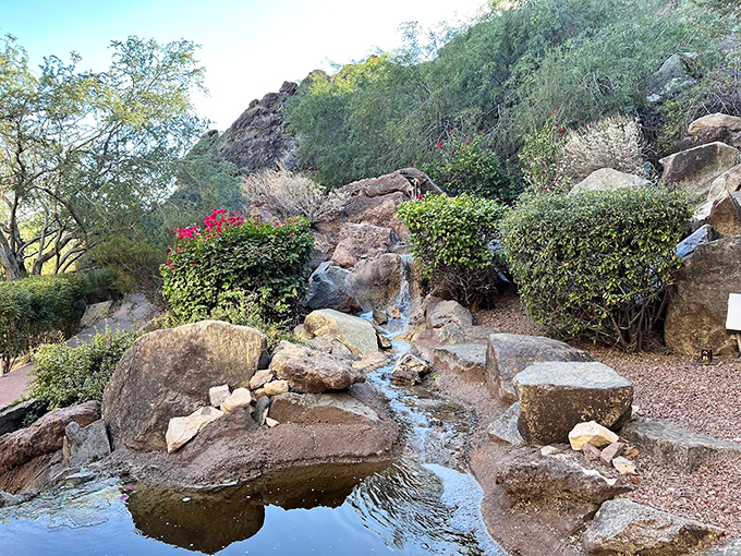 A gentle stream meanders through desert gardens, creating peaceful moments of reflection among native plants and smooth stones.