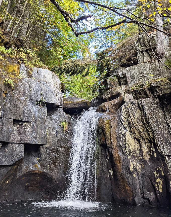 Water carved this "Grand Canyon of Maine" over thousands of years, proving that patience creates the most spectacular masterpieces.