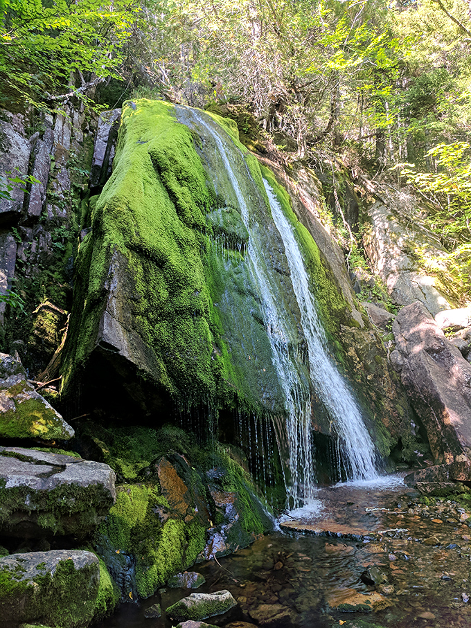 Green Falls wears a moss tuxedo while performing its endless water dance. When rocks and water collaborate for a few million years, the results are spectacular.