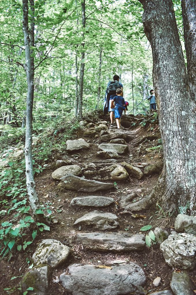 Nature's staircase: roots and rocks form a rugged pathway that rewards effort with one of Vermont's most pristine swimming experiences.