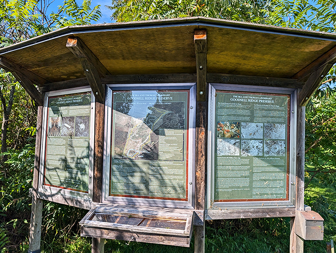 The information kiosk serves as your prehistoric travel guide, offering context for the mind-boggling time scales you're about to experience.