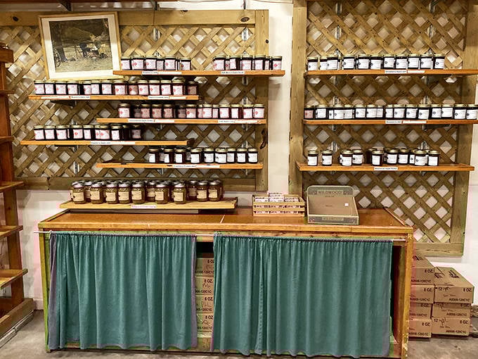 Shelves lined with homemade jams and jellies offer a rainbow of preserved orchard flavors, each jar promising to brighten winter breakfasts long after apple season ends.
