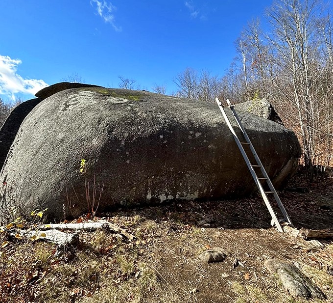 A simple ladder leans against the massive stone face, a humble human tool dwarfed by nature's handiwork that's stood for millennia.