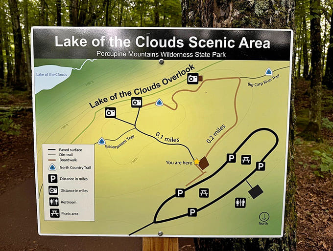 Every great adventure starts with a map, though the real treasure isn't marked with an X but discovered with your own two feet.
