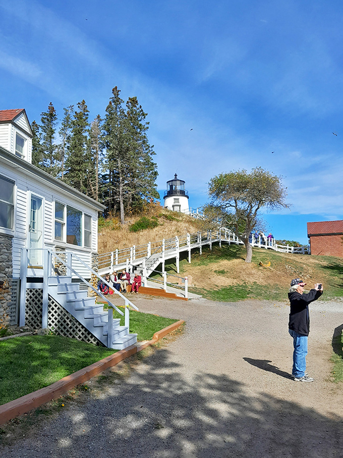These stairs have carried thousands of visitors toward lighthouse views that make smartphone storage space suddenly seem inadequate.