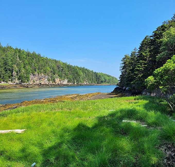 Malaga Island's peaceful shores belie its complex history &ndash; a place of natural beauty now preserving an important chapter in Maine's past.