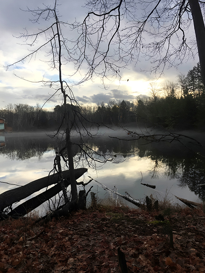 Misty morning at the nearby pond creates an ethereal atmosphere worthy of Tolkien's magical world.