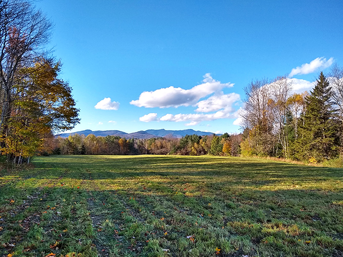 A mountain meadow stretching toward distant peaks &ndash; the kind of view that makes smartphone cameras feel woefully inadequate.