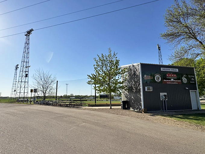Nelson Field's lights ready to illuminate evening games, turning ordinary nights into community gathering moments under the prairie sky.