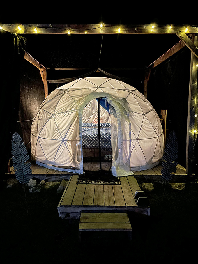 String lights create a runway to your dome, as if the stars themselves are guiding you home.