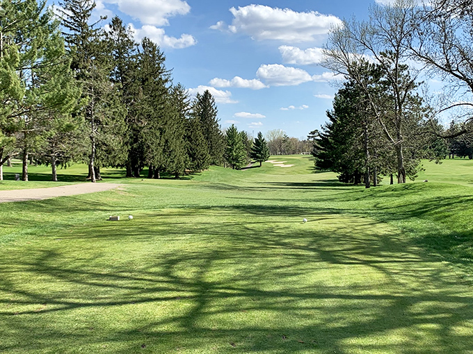 Emerald fairways stretch between stands of mature trees, challenging golfers while providing scenic views that might distract from their swing.