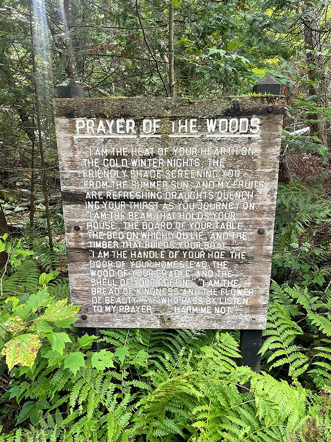 The "Prayer of the Woods" sign reminds visitors of our ancient connection to forests, speaking timeless wisdom from trees that have seen centuries pass.