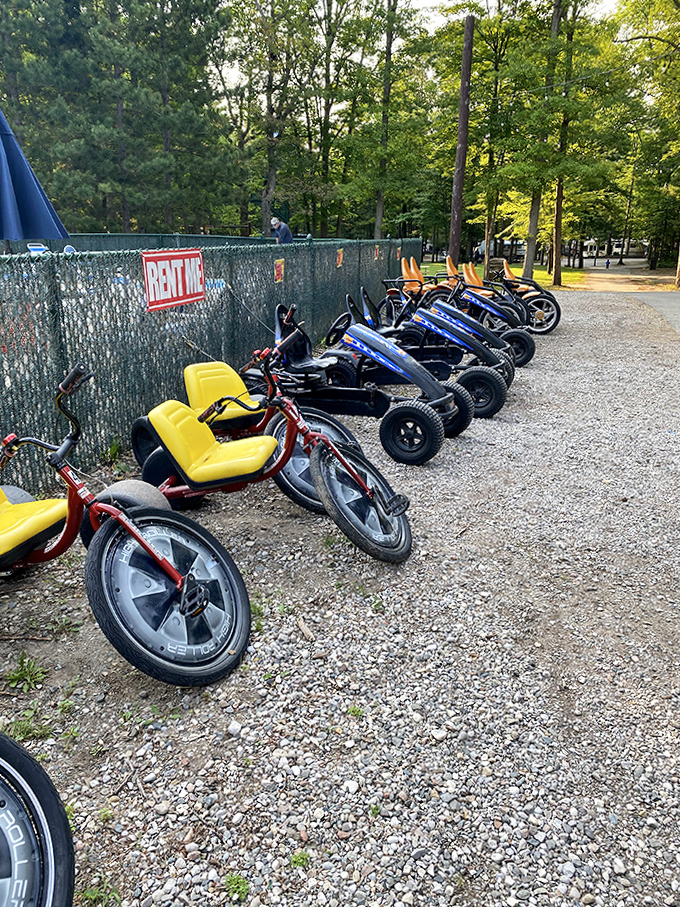 Quirky rental cycles line up like colorful steeds, promising hilarious adventures and temporarily abandoned dignity on forest paths.