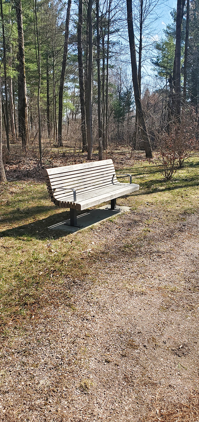 Sometimes the best vacation is a "staycation" &ndash; this simple bench offers front-row seats to nature's ever-changing seasonal performance.