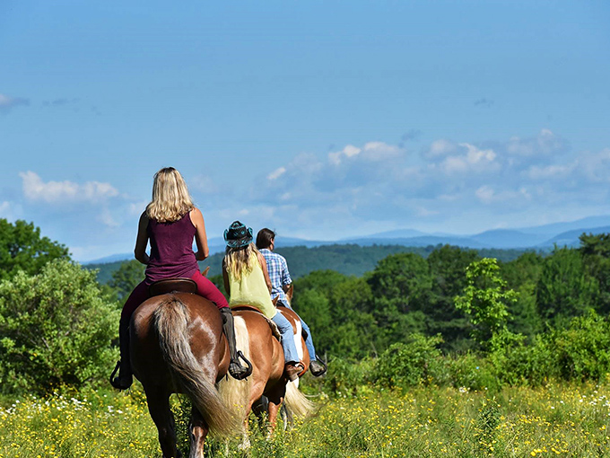 Breathtaking mountain views accompany riders through flower-dotted meadows, where Maine's landscape unfolds like a living postcard beneath steady hooves.