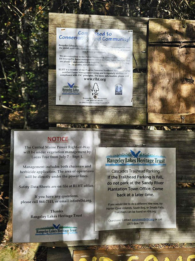 Conservation information reminds visitors that this slice of paradise stays pristine through the careful stewardship of the Rangeley Lakes Heritage Trust.