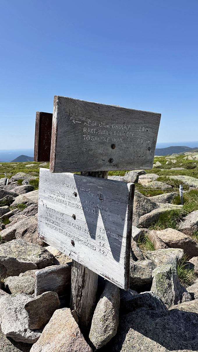 Wilderness signposts: where getting lost becomes a choice rather than an accident. Choose your own adventure, anyone?