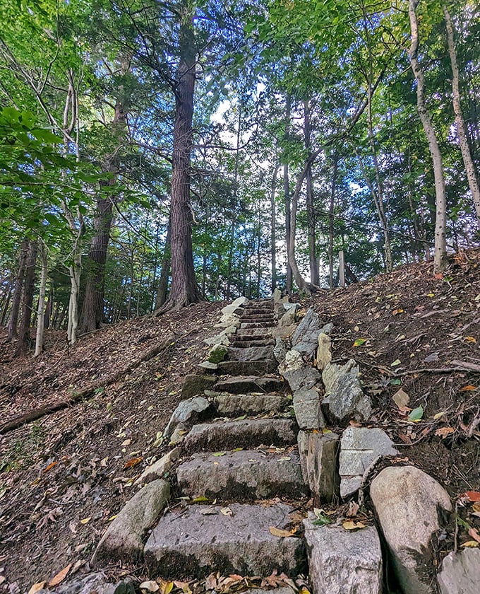 These stone steps have carried thousands of visitors upward, each one pausing "to admire the view" (and secretly catch their breath).